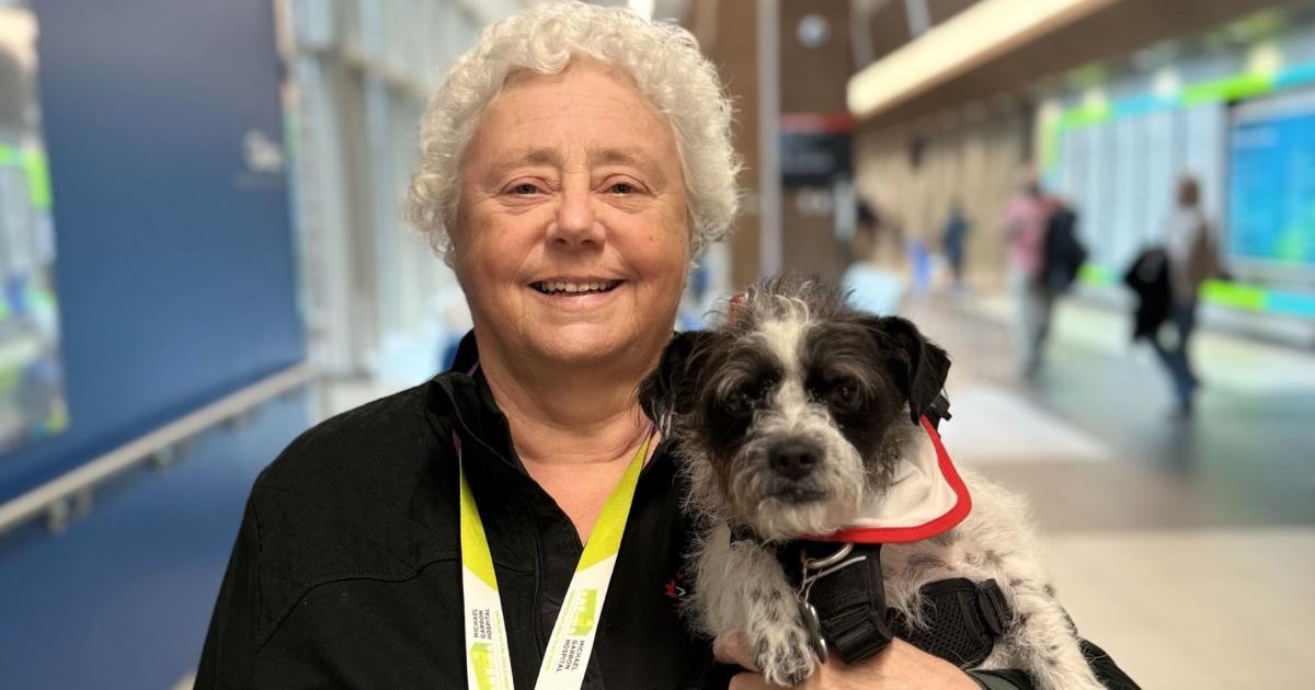 #IamMGH Pet Therapy – Meet Christine MacLean and Tilley | Michael ...